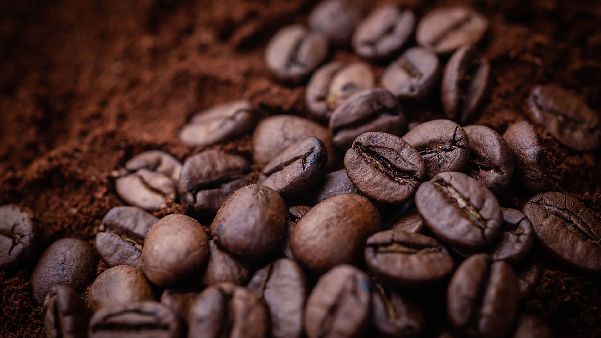 Coffee – Solano's Syrups